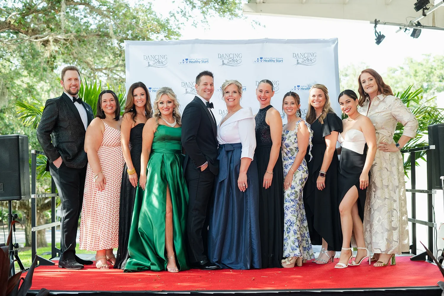 Meet the DWVS Committee — Healthy Start Coalition