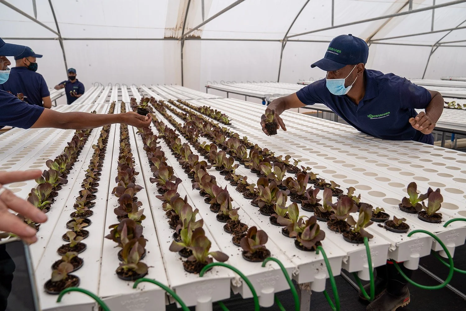 Development — Knowledge Pele | Implementing Research Led Development