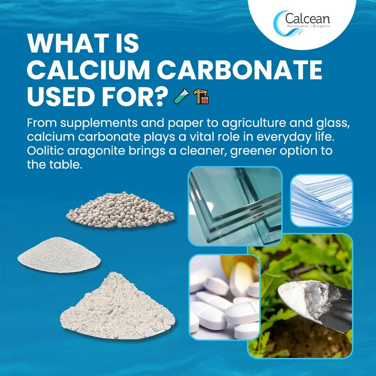 What Is Calcium Carbonate Used For? (And Why Oolitic Aragonite Is the ...