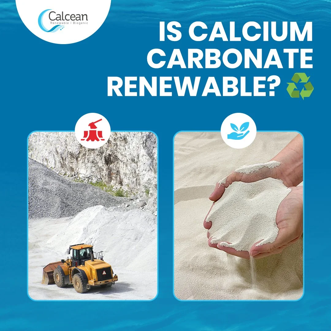 Is Calcium Carbonate Renewable? A Look at Limestone vs. Oolitic ...