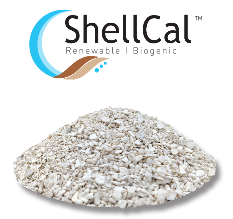 ShellCal — Calcean