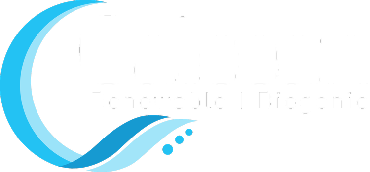 Calcean