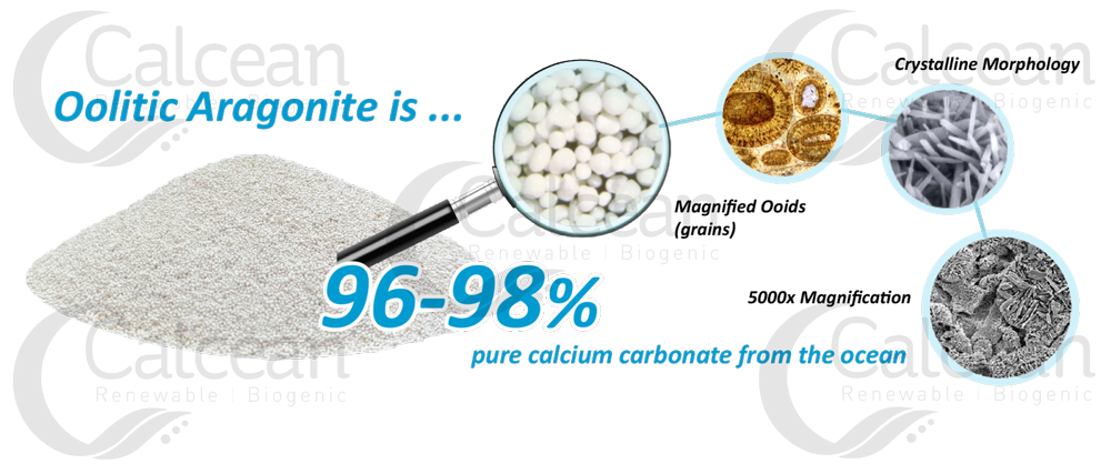 What is Oolitic Aragonite? — Calcean