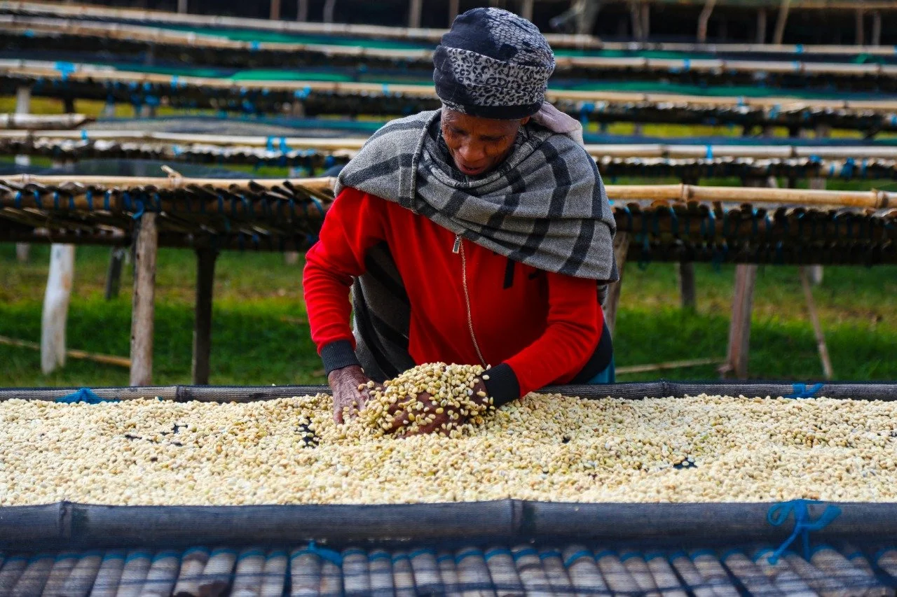 Shop — Vibrant Coffee Roasters