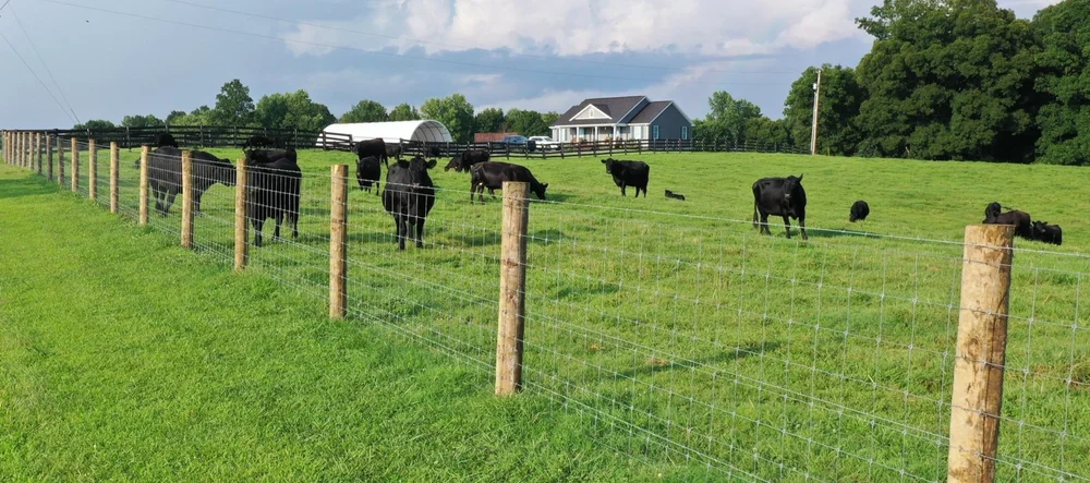 Zimmerman Fencing - Fence Contractor