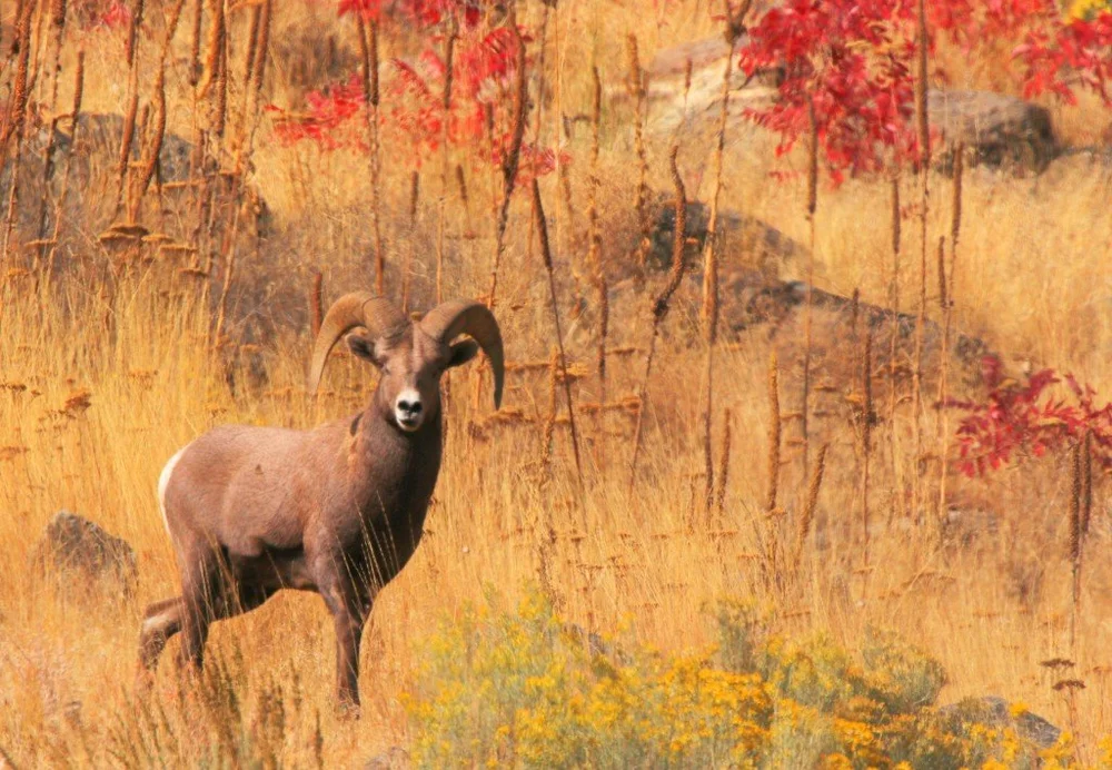 Step into Nature's Window Museum and embark on an educational journey ...