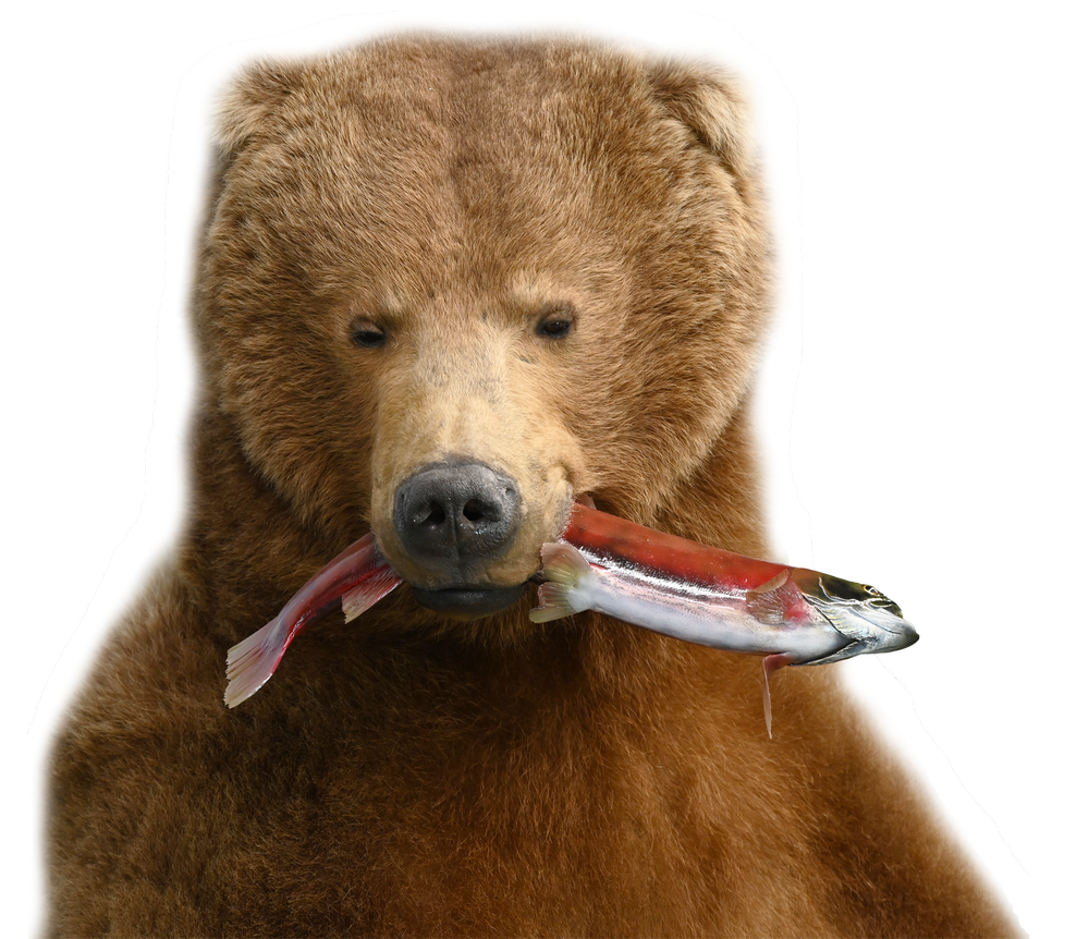 Discover the wonders of our natural world at Nature’s Window: Lake ...