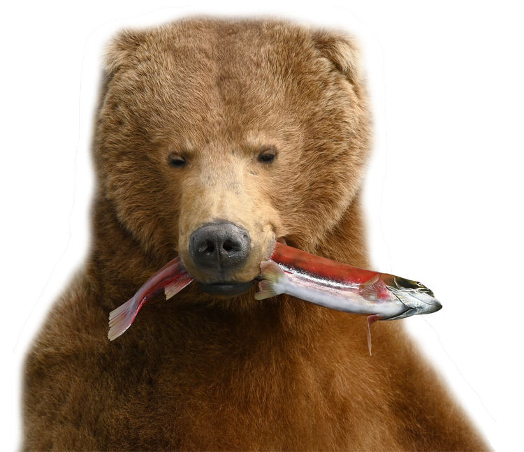 Discover the wonders of our natural world at Nature’s Window: Lake ...