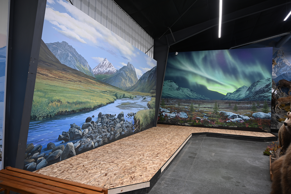 Step into Nature's Window Museum and embark on an educational journey ...