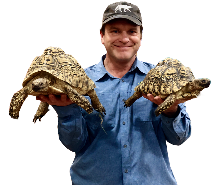 Upcoming Events — The Glove Theatre