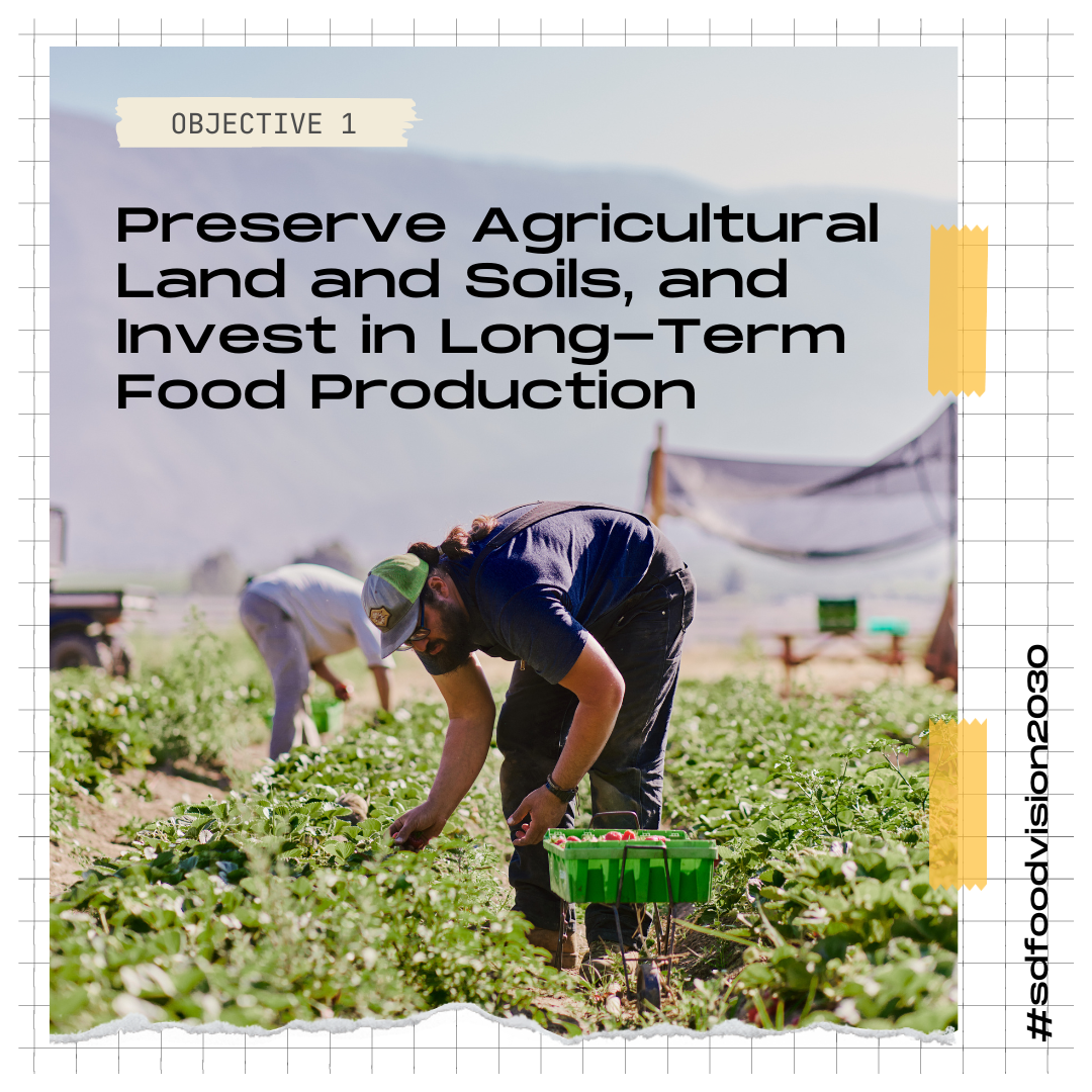 Belonging | The Second Annual Gathering for San Diego County Food ...