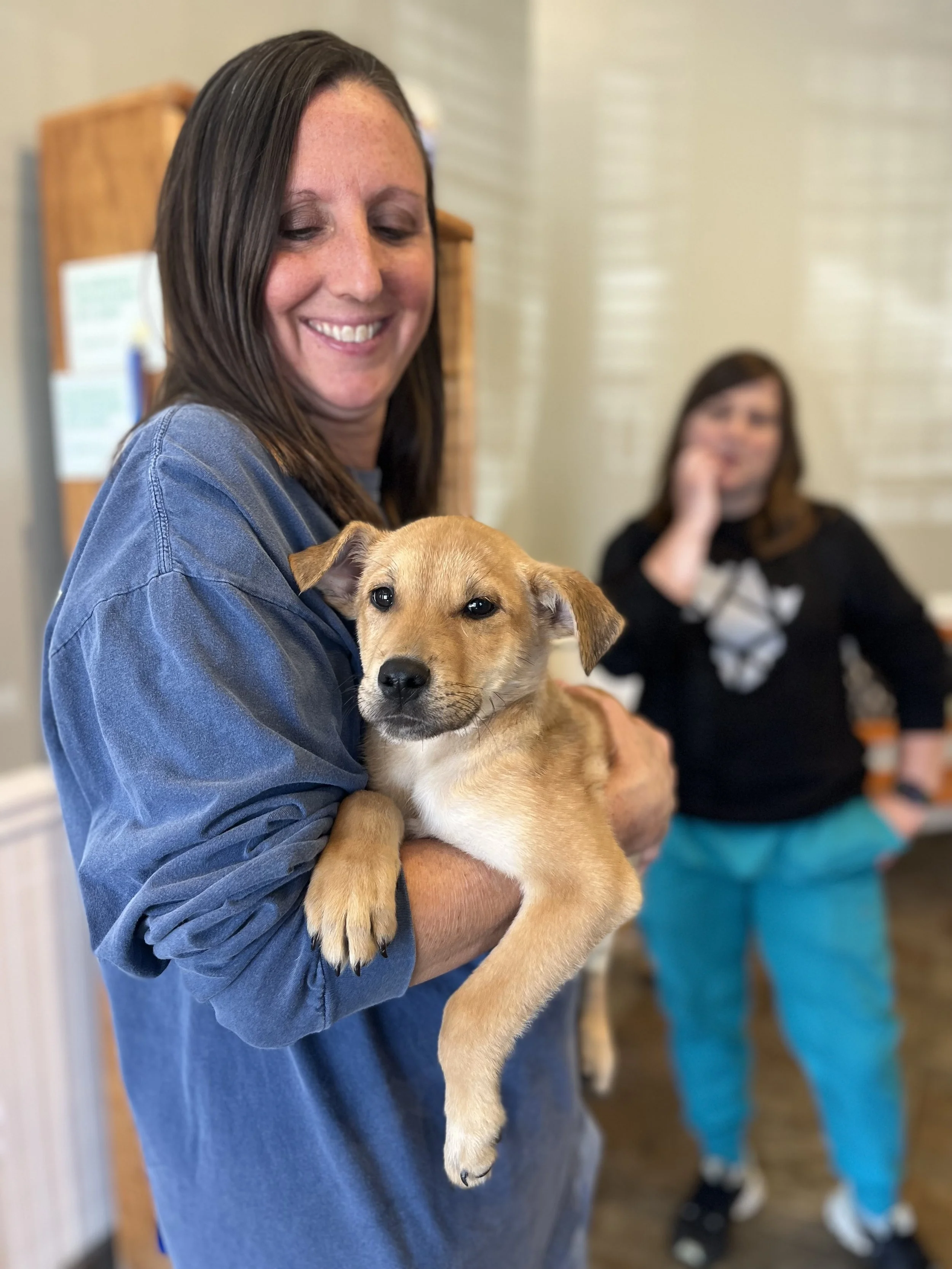 Gallery 3 — Luna Farms Rescue