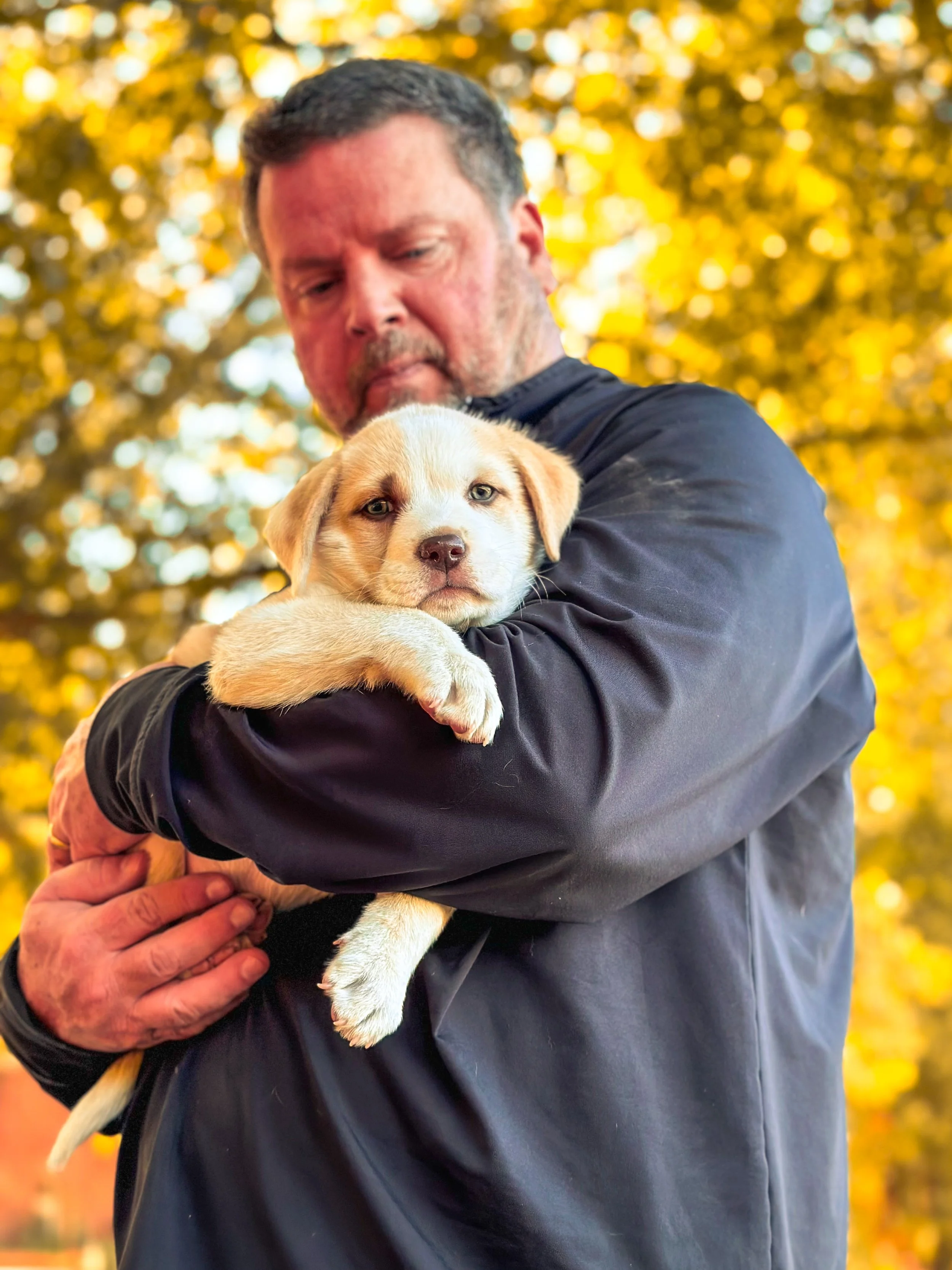 Gallery 3 — Luna Farms Rescue