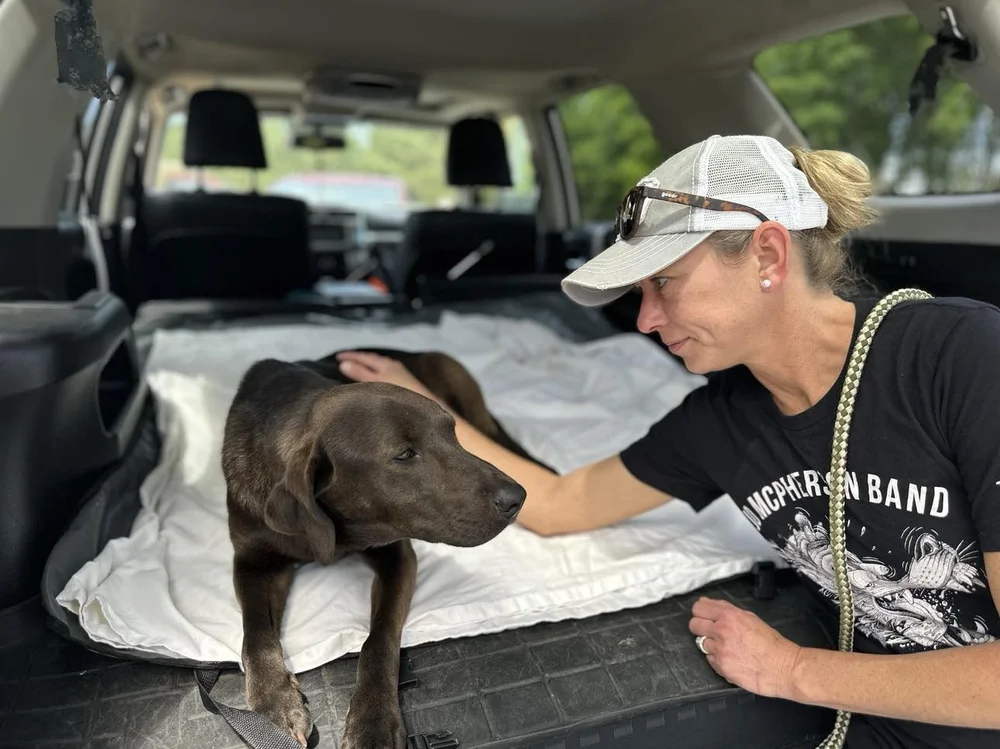 Donate — Luna Farms Rescue