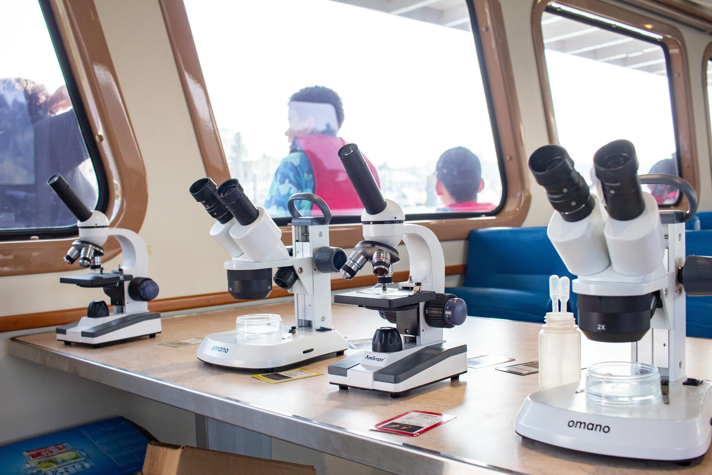 Programs Apprenticeship Washington Maritime Careers