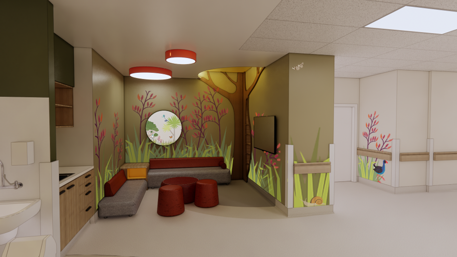 Children's Emergency Department — Palmerston North Hospital Foundation