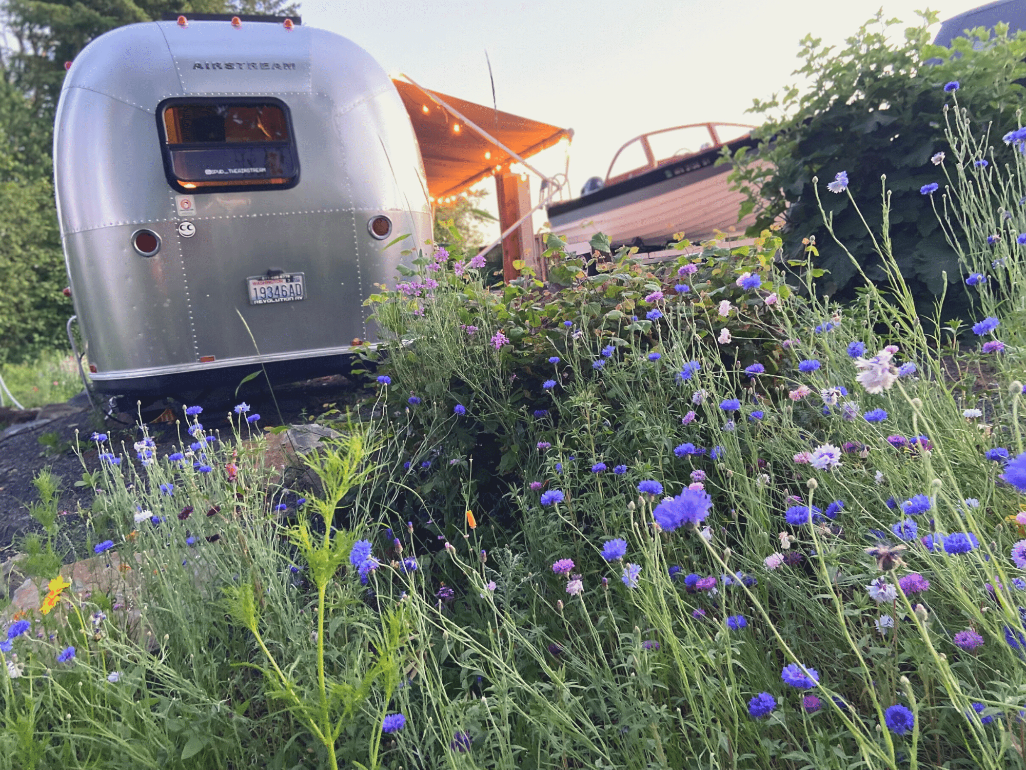 The Lookout at Mayfield Lake