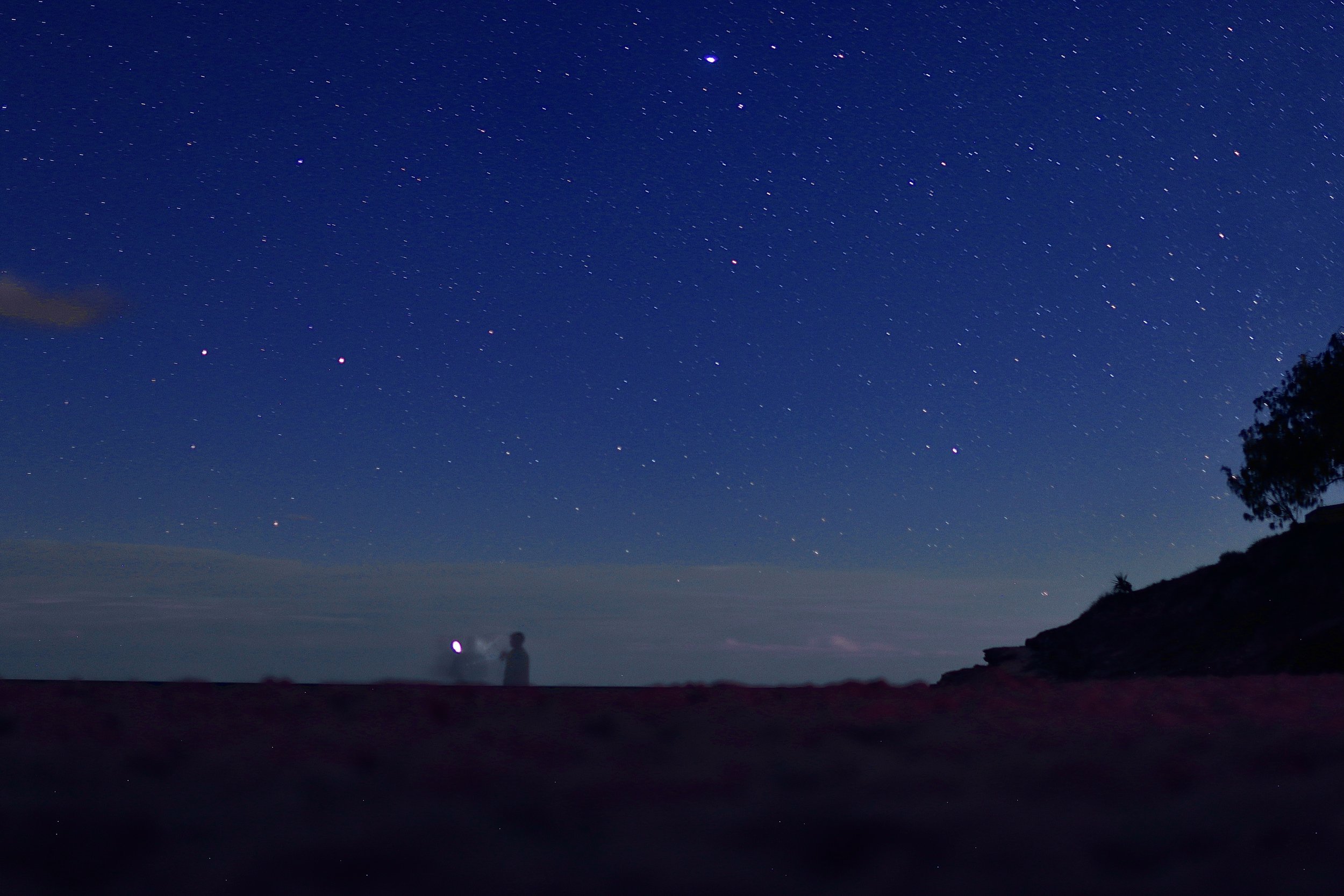 Tolemy Book — Tolemy | Brand-Led Growth Agency | Consulting