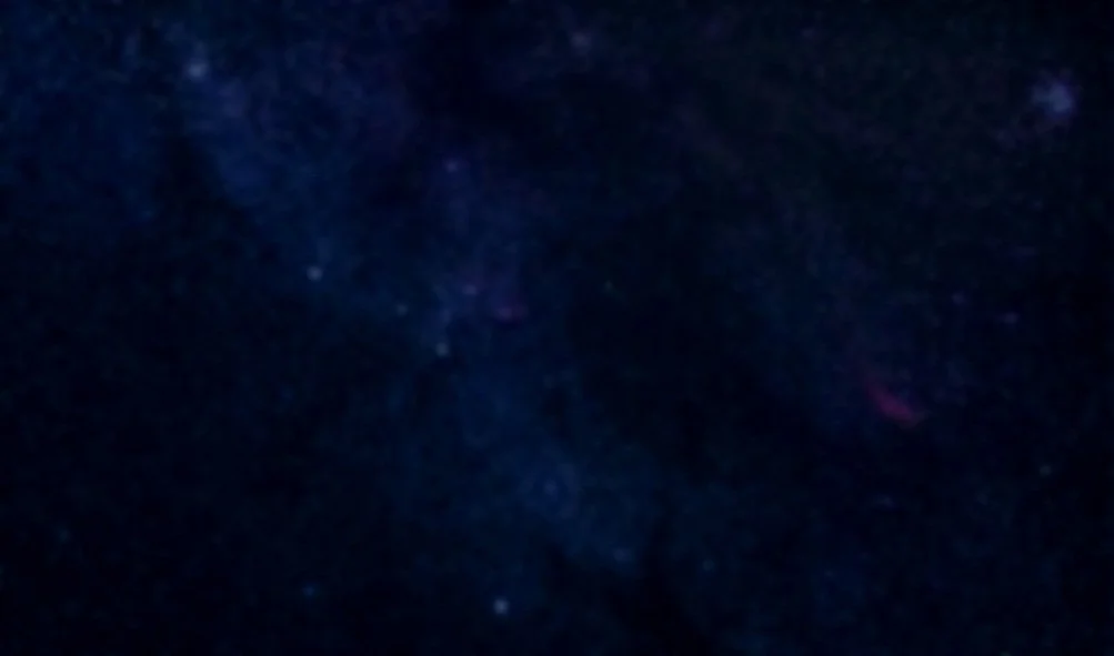 About — Tolemy | Brand-Led Growth Agency | Consulting