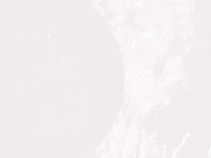 Our Work — Tolemy | Brand-Led Growth Agency | Consulting