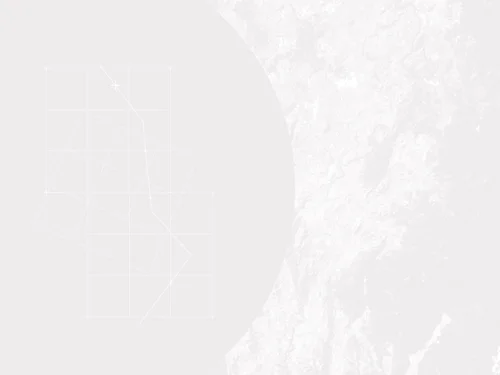 Our Work — Tolemy | Brand-Led Growth Agency | Consulting