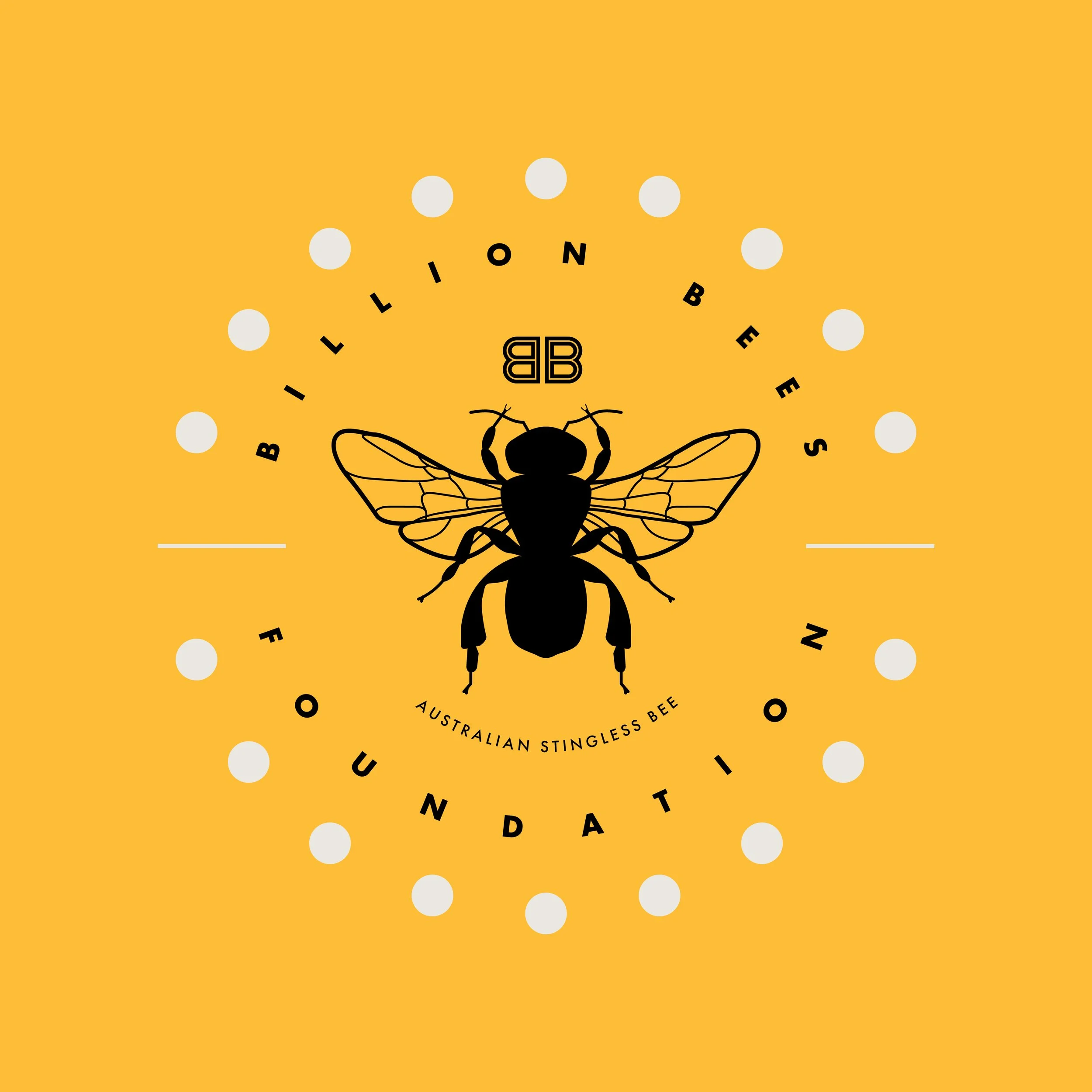 Tolemy | Brand-Led Growth Agency | Consulting