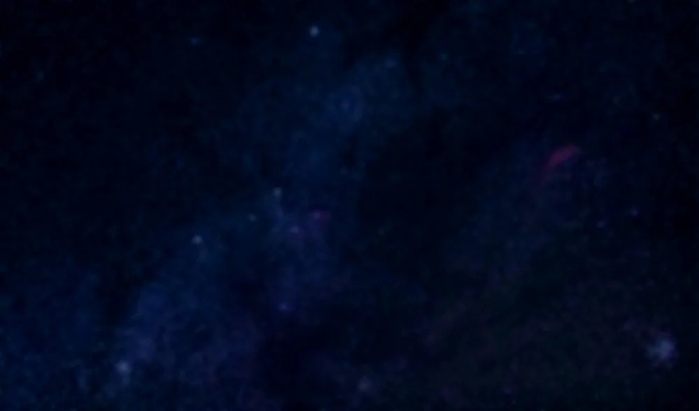 About — Tolemy | Brand-Led Growth Agency | Consulting