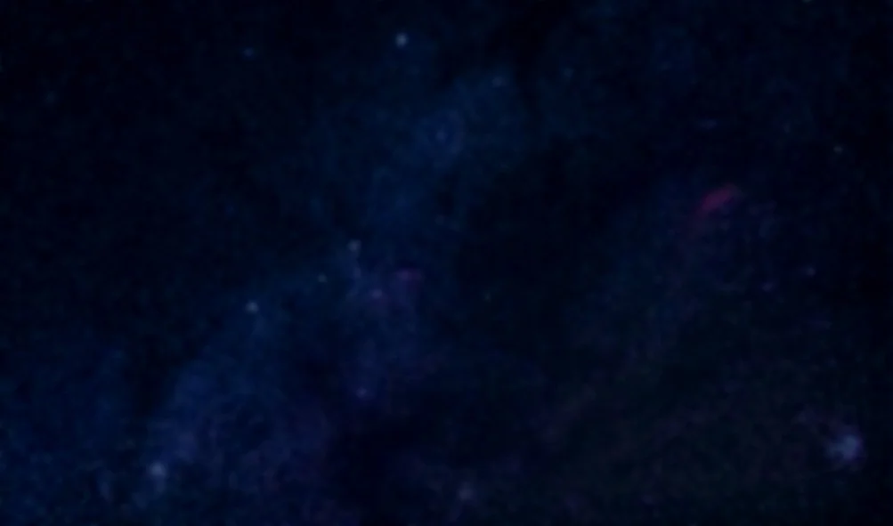 About — Tolemy | Brand-Led Growth Agency | Consulting