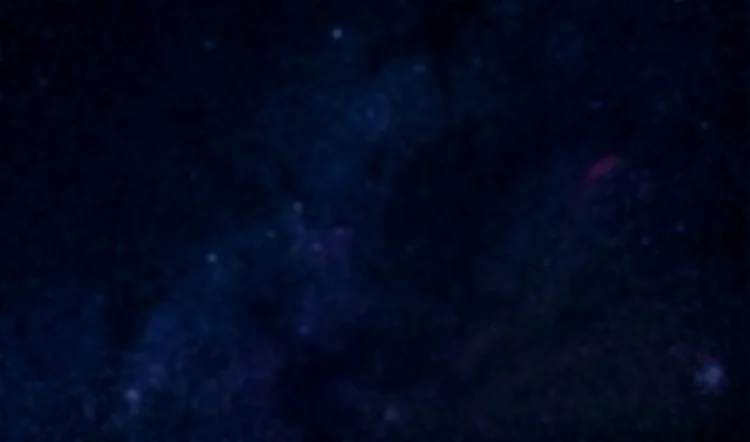 About — Tolemy | Brand-Led Growth Agency | Consulting