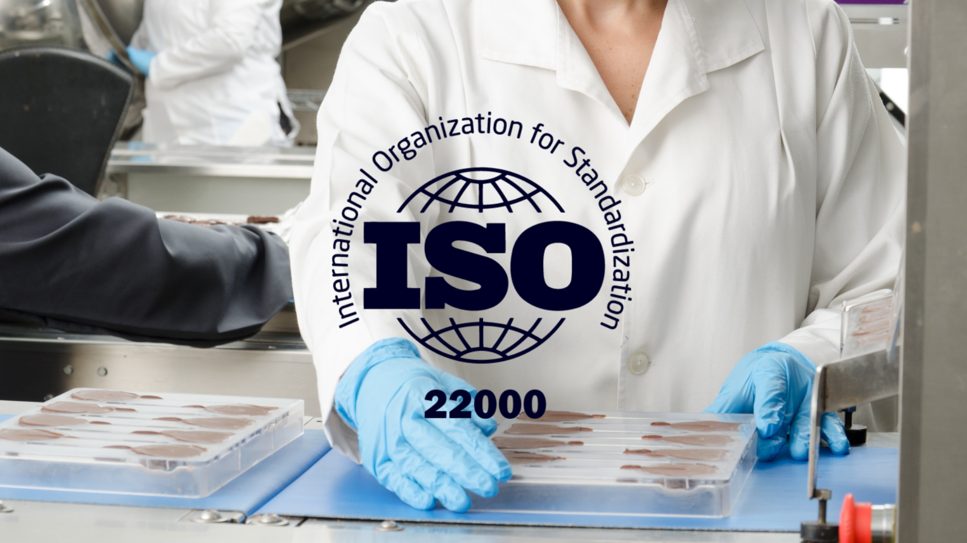 Modul Training — Standard Training Indonesia