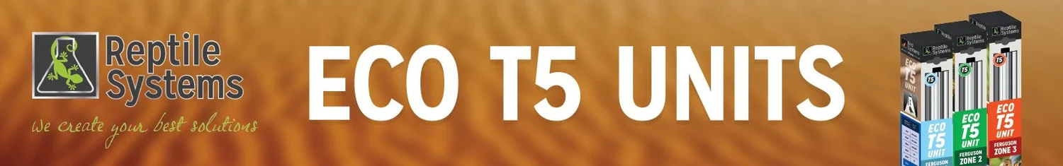 Treated Like Royalty: Evidence-Based Care for Royal/Ball Pythons ...