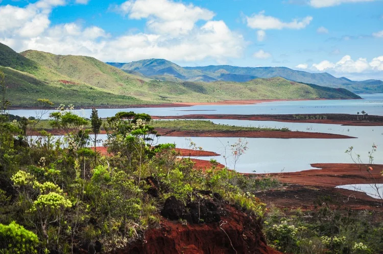 The New New Caledonia | Exotics Keeper Magazine