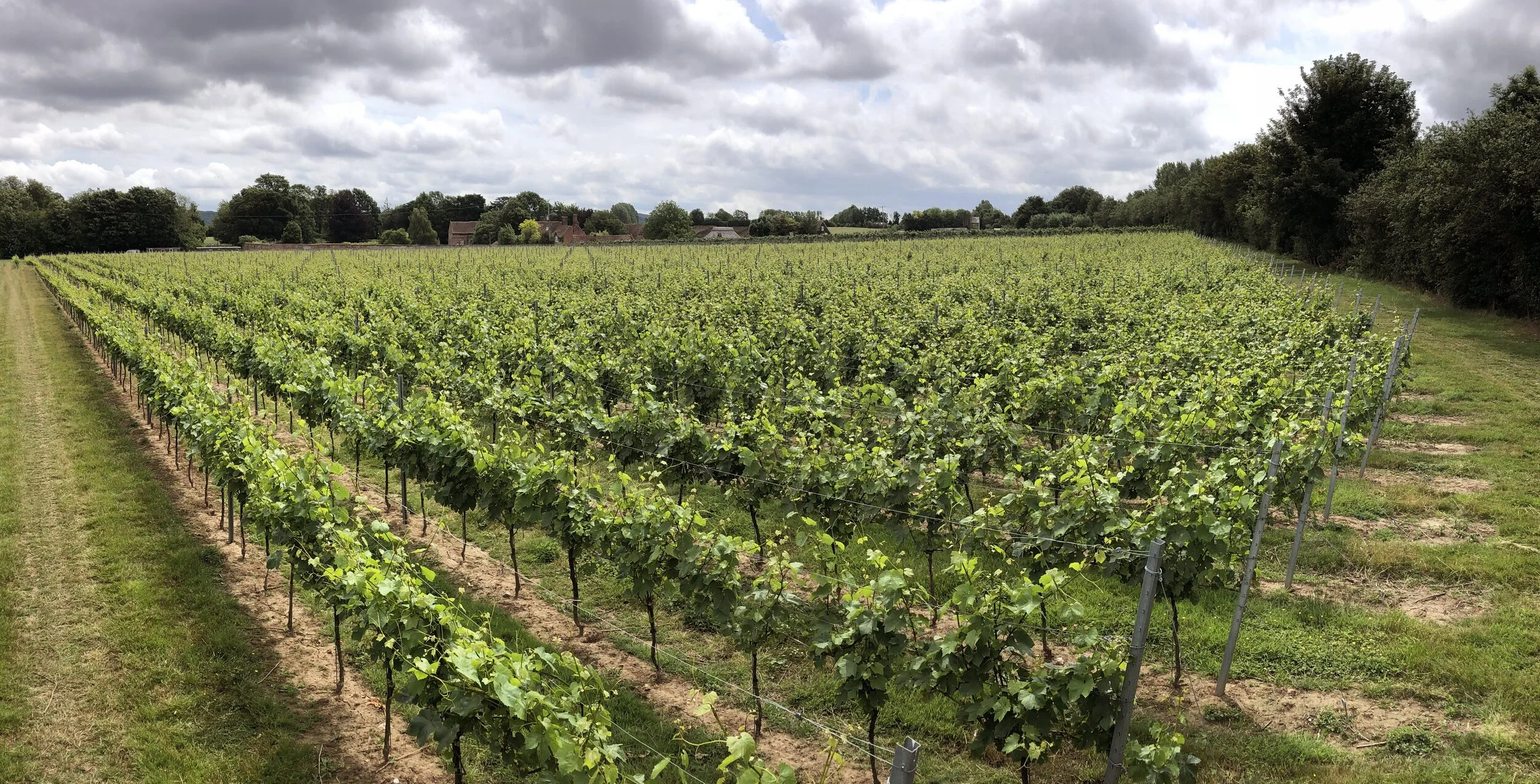 Brenley Wine — Brenley Farm