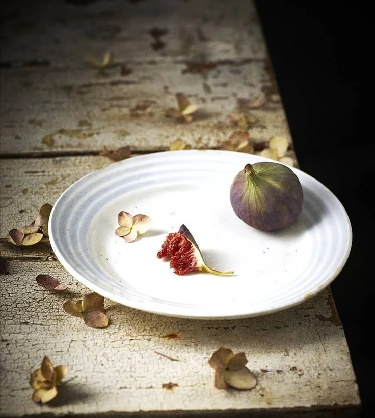 Simple Composition Still Life #01 — Inner Loop Collective