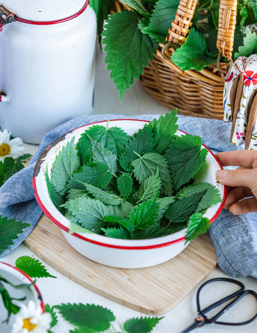 How to Cook Stinging Nettles for Eating — Carol's Vegan Kitchen