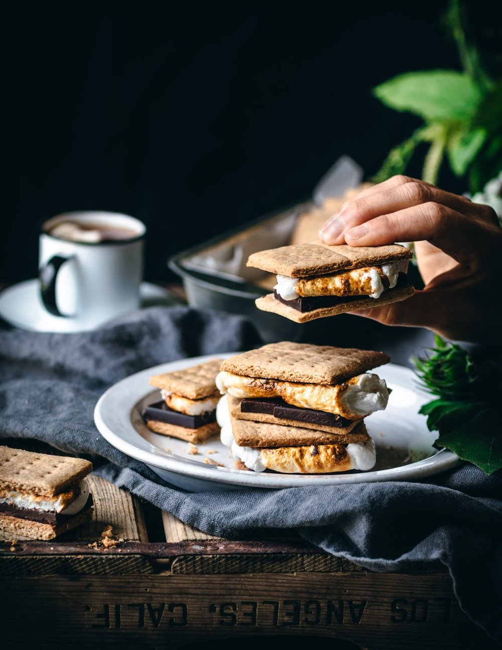 The Best Homemade Vegan Gluten Free Graham Crackers — Carol's Vegan Kitchen