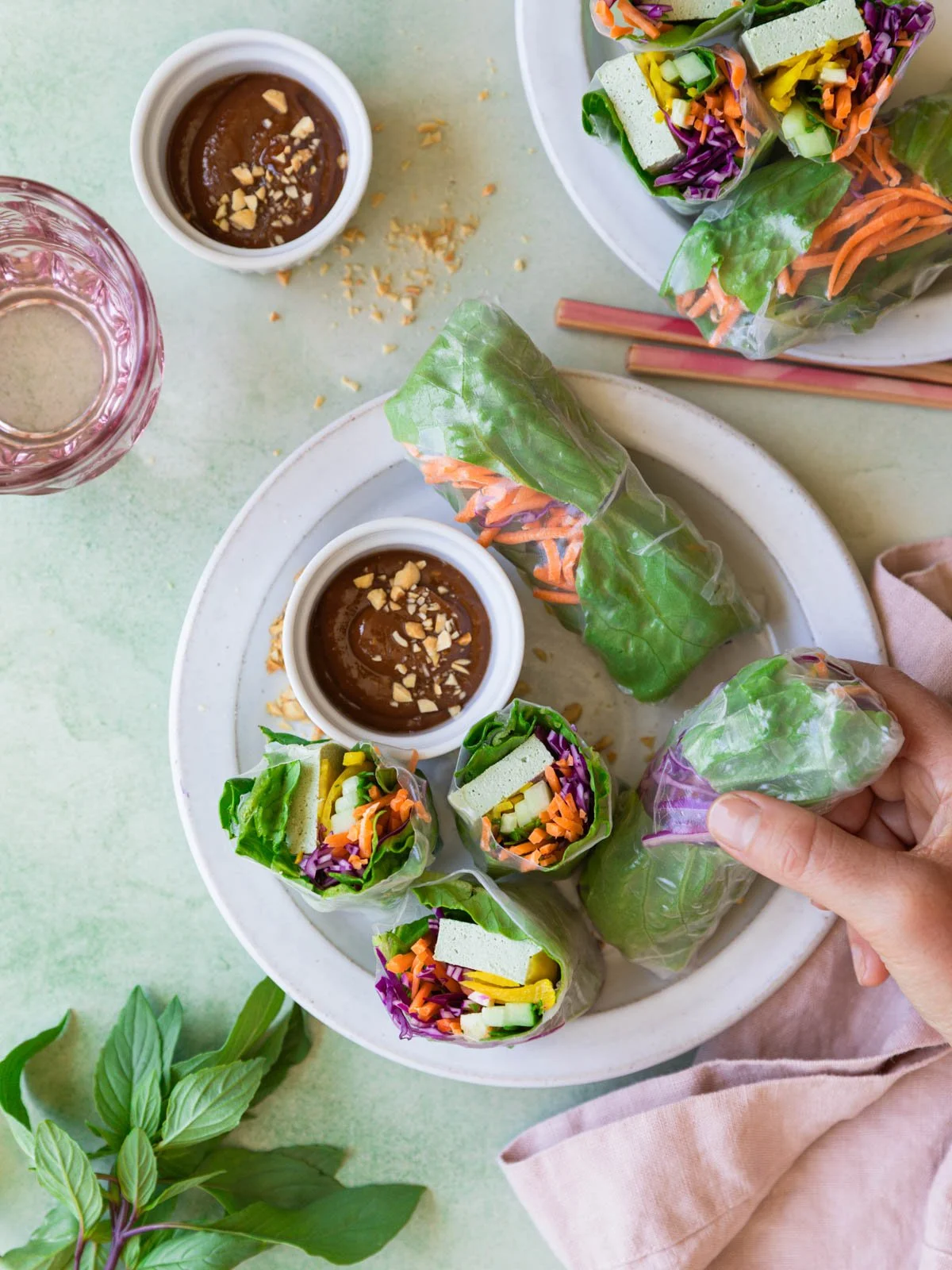 Summer Rolls with Peanut Sauce / Pumfu Tofu Recipe — Carol's Vegan Kitchen