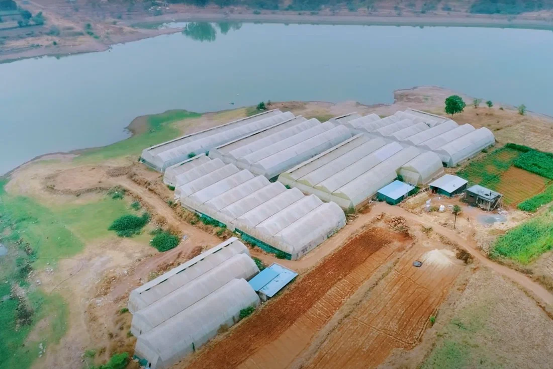 Nutrifresh — Green Frontier Capital