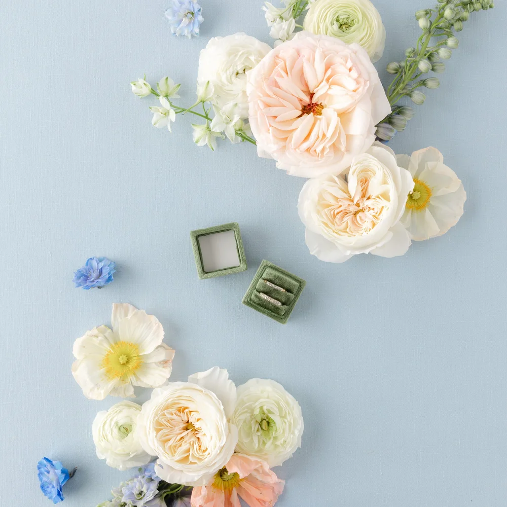 The Styled Stock Shop Membership | Stock Photos for Designers