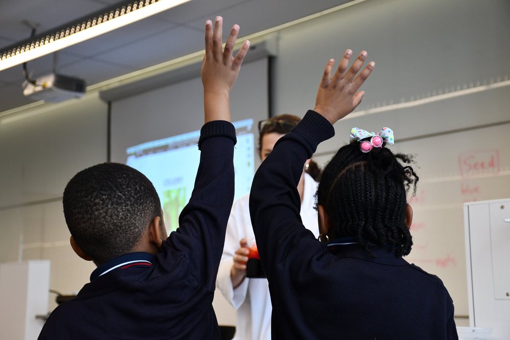 Enhanced Curriculum — Webber Academy