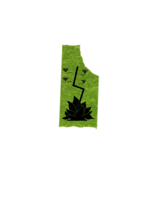 CHUCHO Y PONCHO SÁNCHEZ — mezcal mal bien