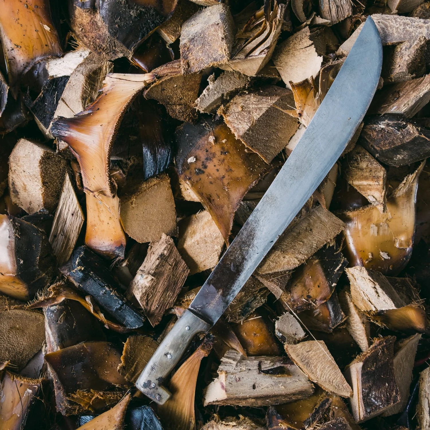 CHUCHO Y PONCHO SÁNCHEZ — mezcal mal bien