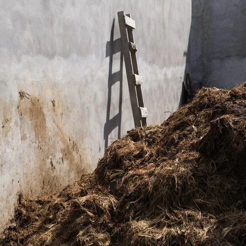 CHUCHO Y PONCHO SÁNCHEZ — mezcal mal bien