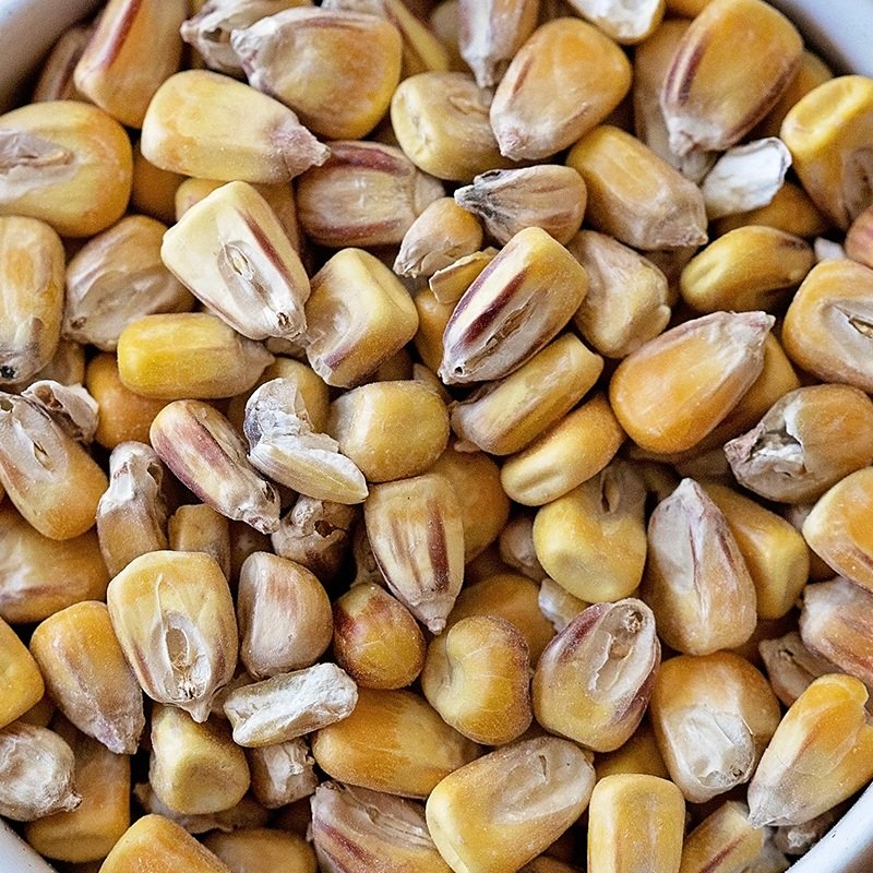 Malts — Valley Malt