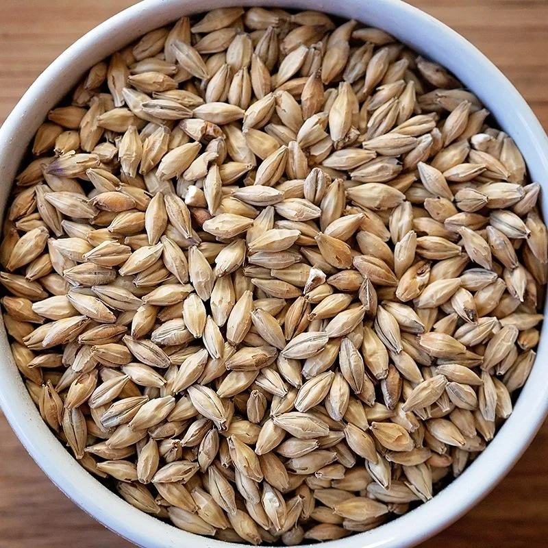 Malts — Valley Malt