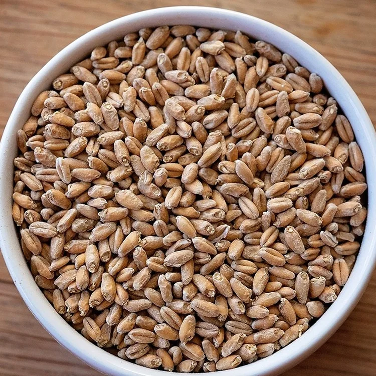 Valley Malt