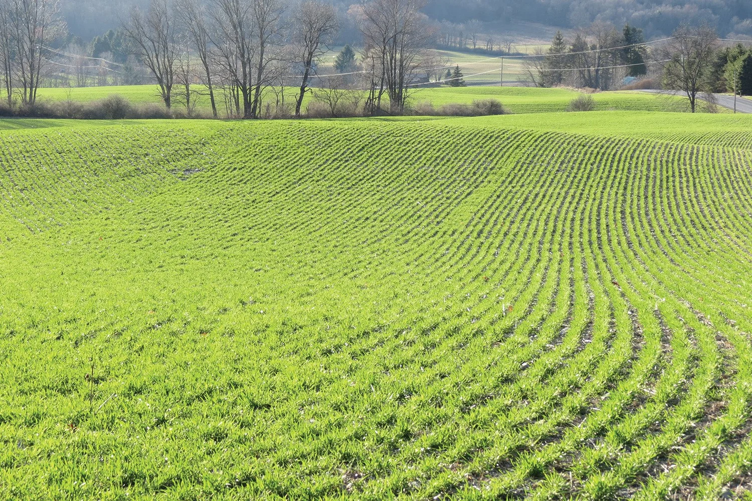 Farms — Valley Malt