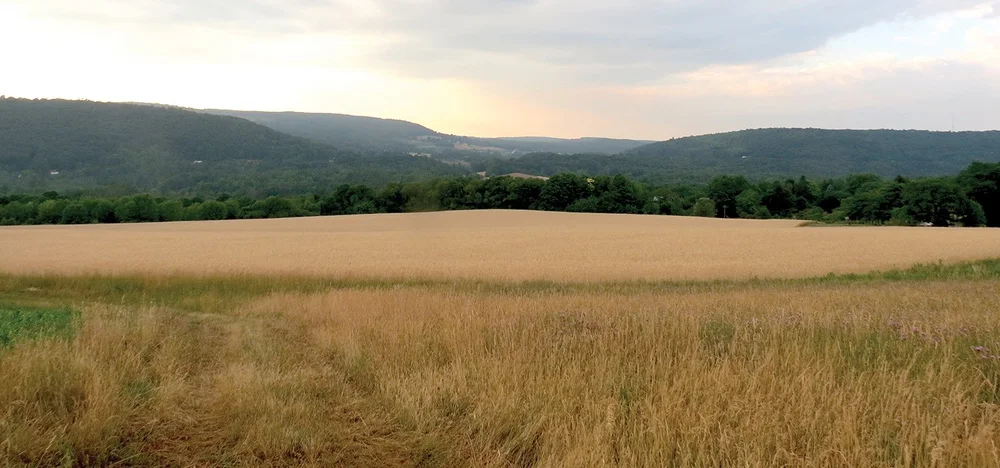 Farms — Valley Malt