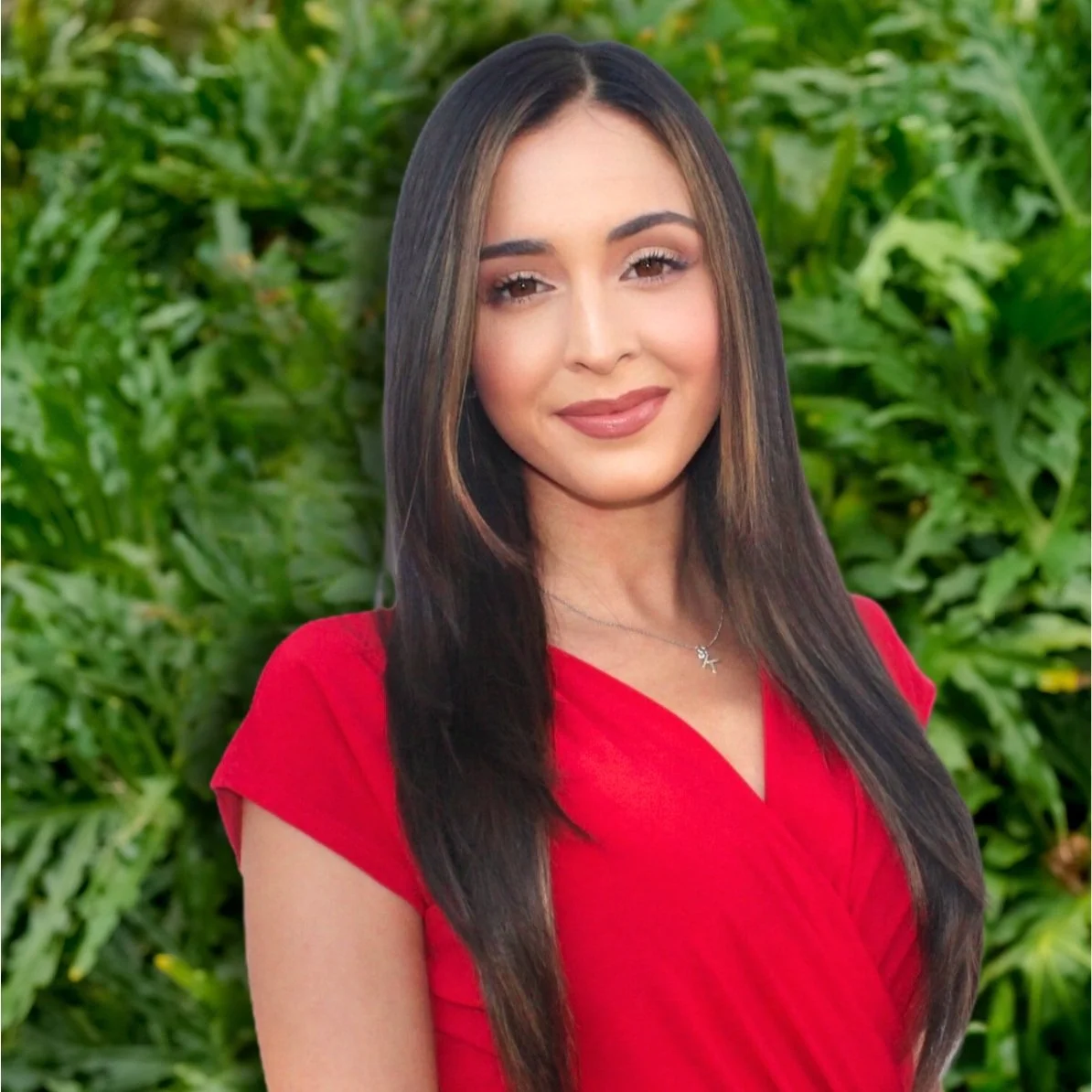 Meet The Hardy Team — The Hardy Team