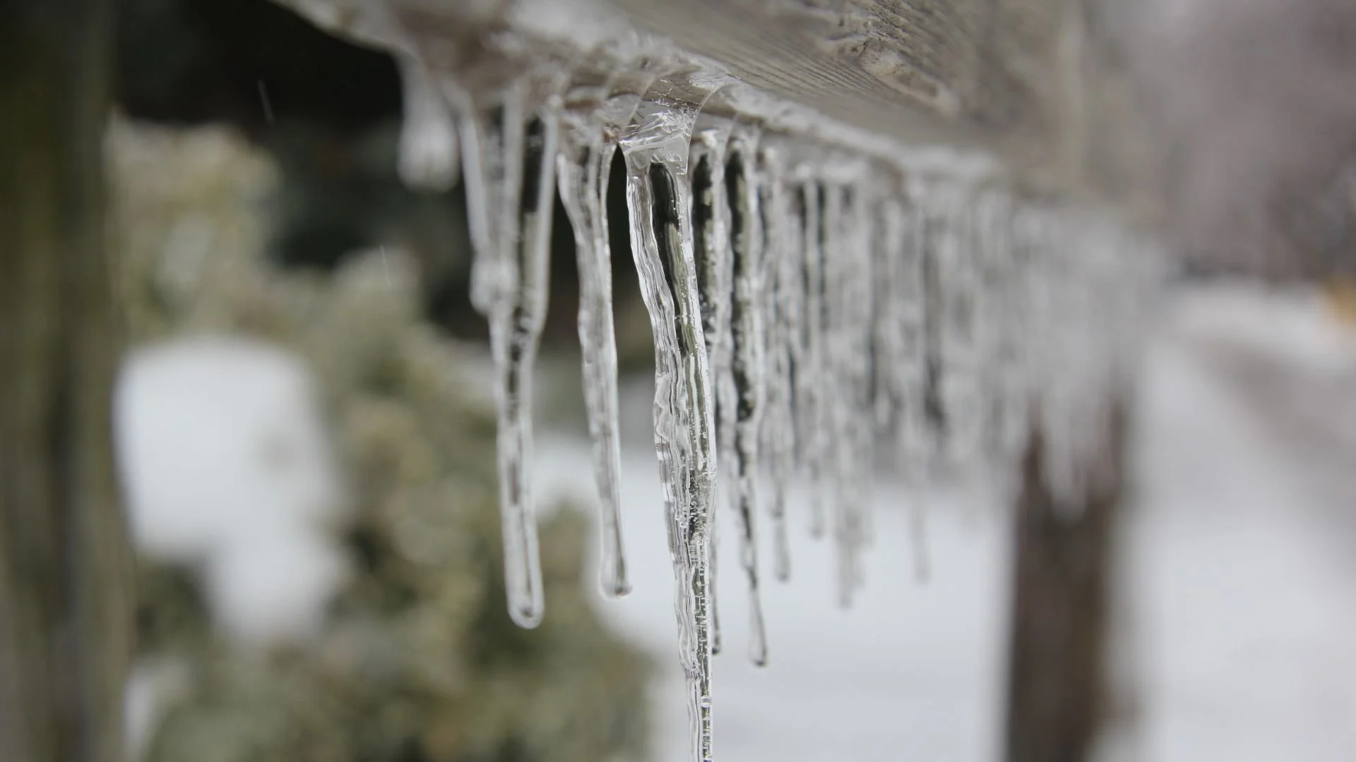Ice Storm Survival Guide: Essential Tips for Before, During, and After ...